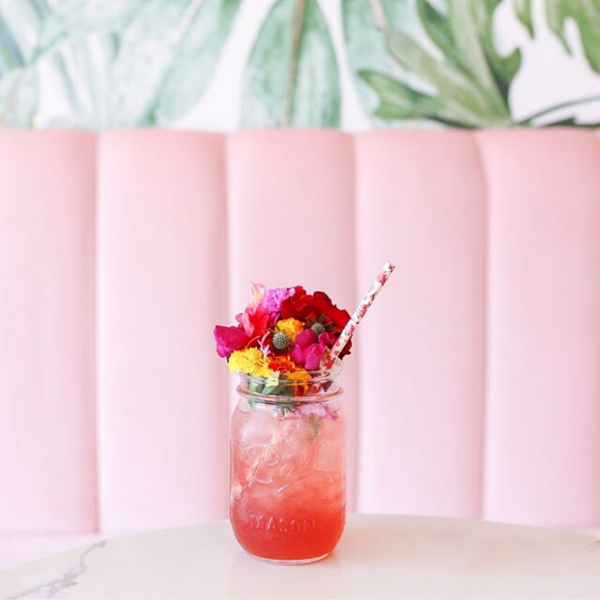 Cha Cha Tea Specialty Tea Mixers and Cold Brew Coffee