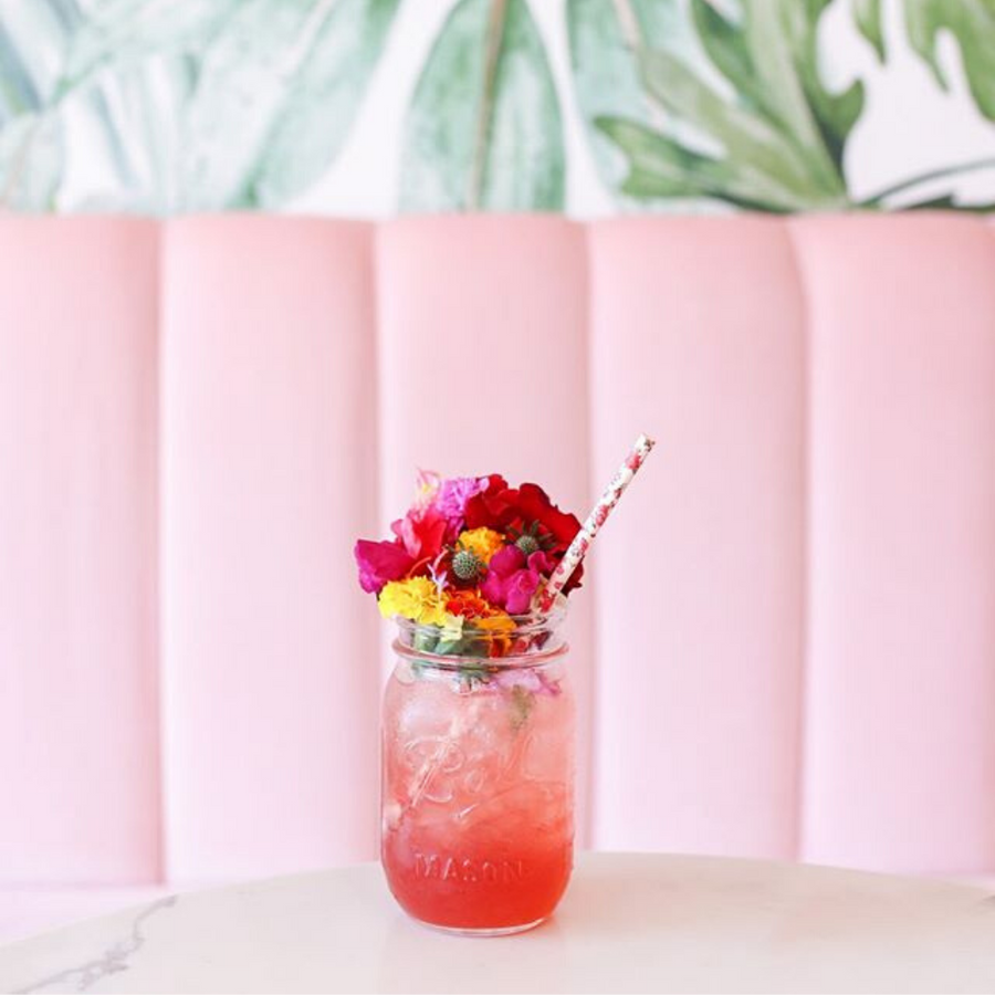 Cha Cha Tea Specialty Tea Mixers and Cold Brew Coffee